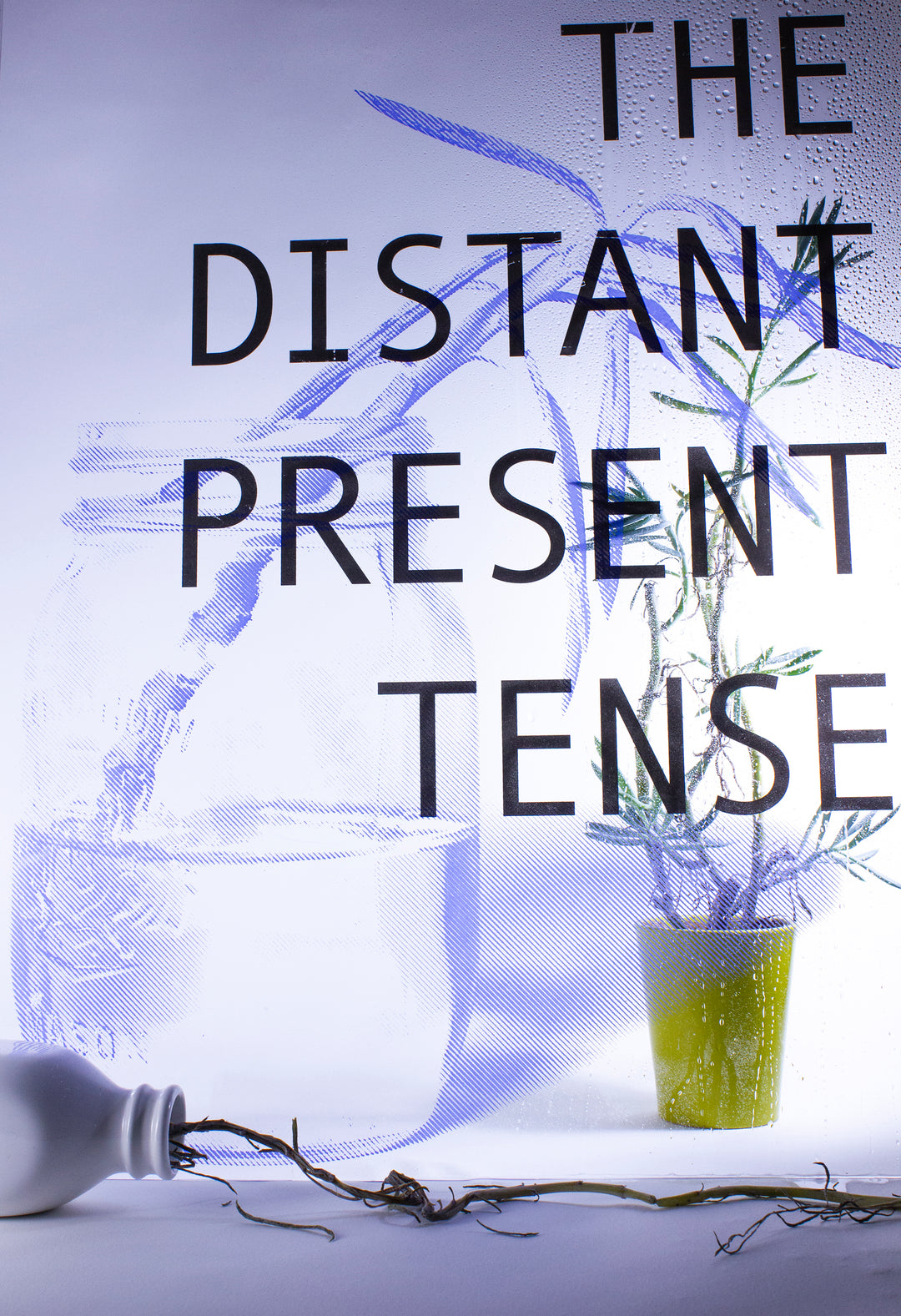 In Violet Light | Arts and Heritage Foundation St. Albert