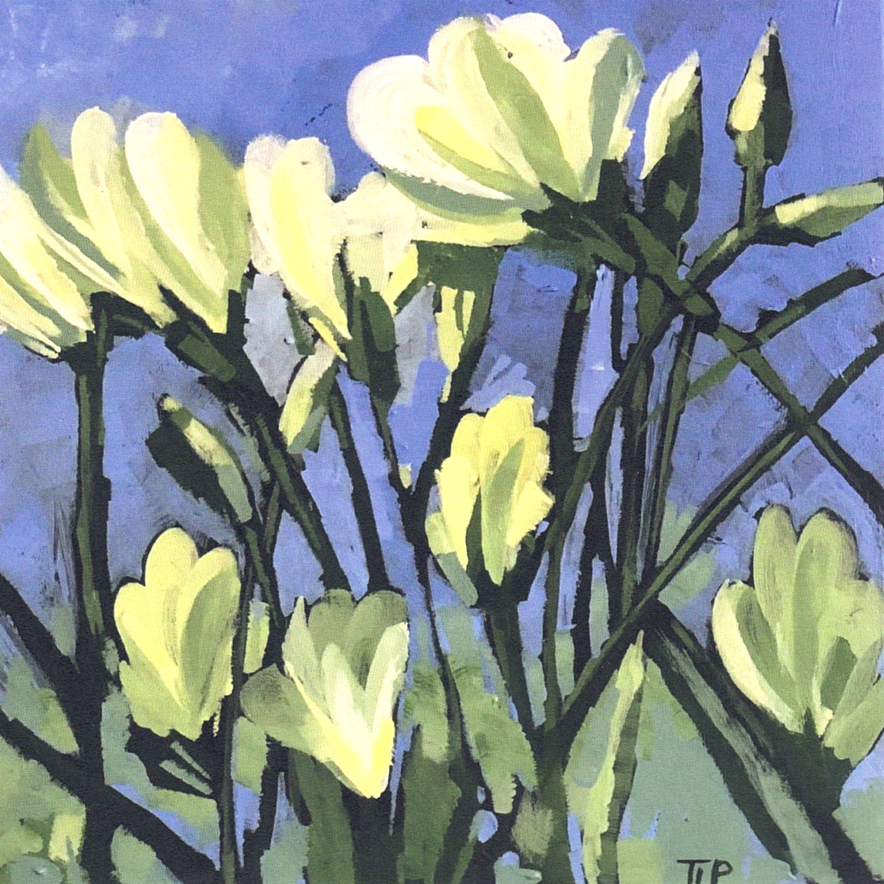 Art Cards by Tracy Lyn Propp | Arts and Heritage Foundation St. Albert