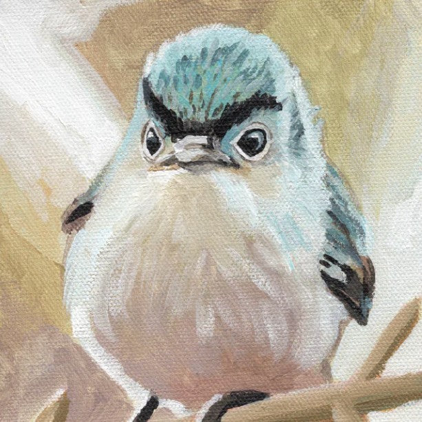 'Birds' Expressive Animal Portrait Art Cards by Robin Good | Arts and ...