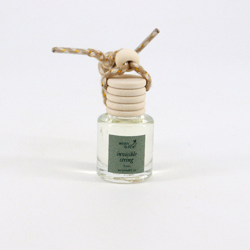 'Invisible String' Hanging Diffuser | Arts and Heritage Foundation St ...