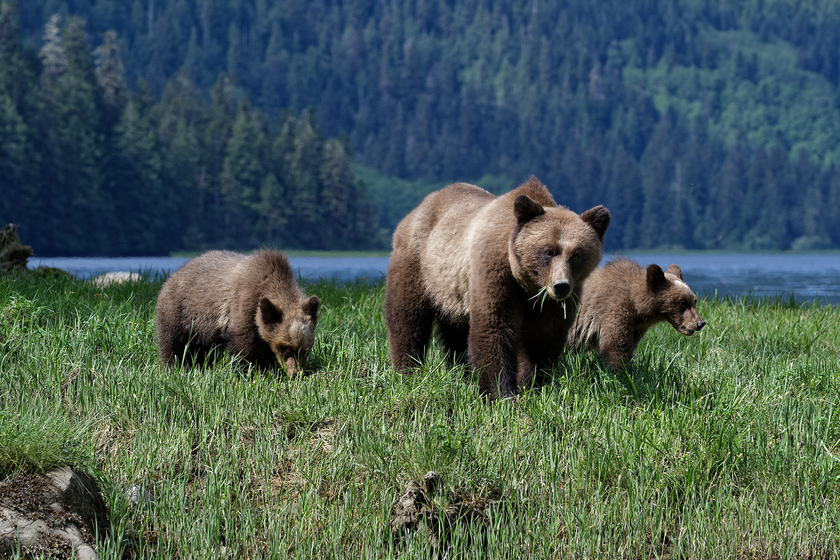 Arts and Heritage St. Albert