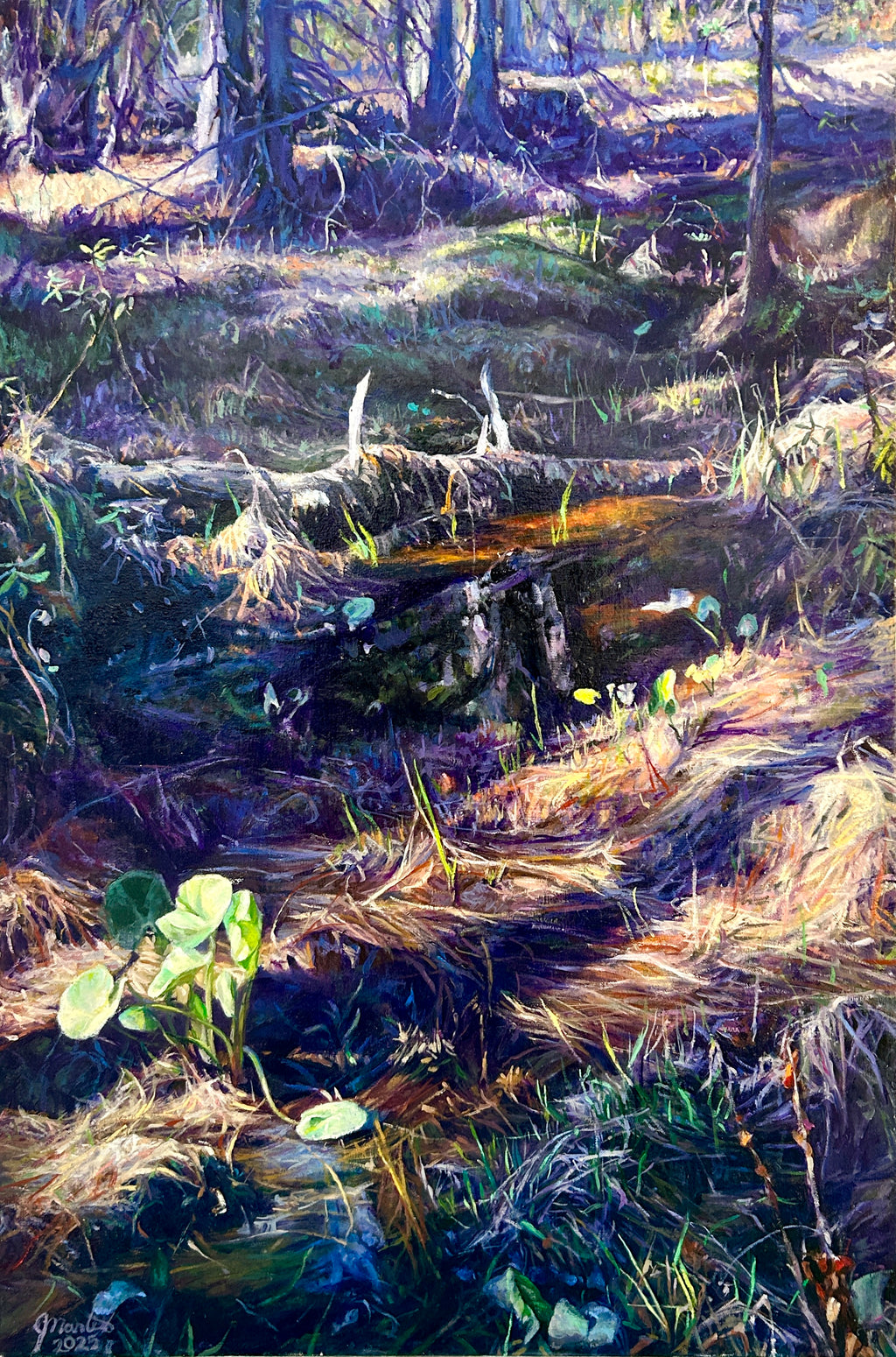 Marsh Marigolds in the Fenn | Arts and Heritage Foundation St. Albert