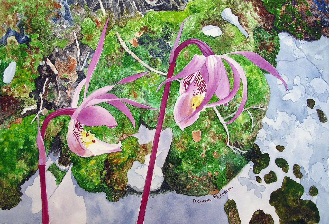 Calypso with Moss | Arts and Heritage Foundation St. Albert