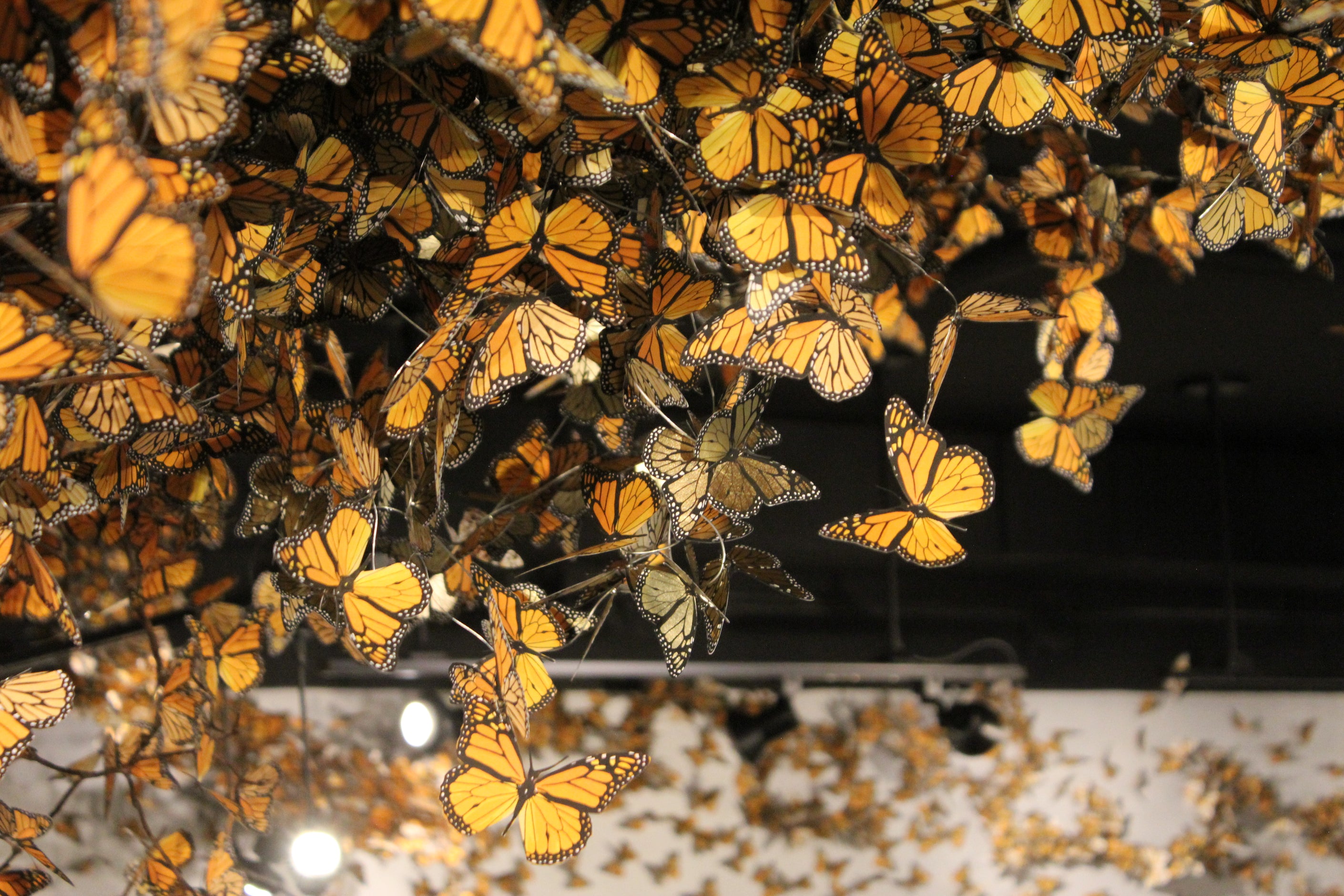 annus mirabilis – A Remarkable Year | Arts and Heritage Foundation St ...