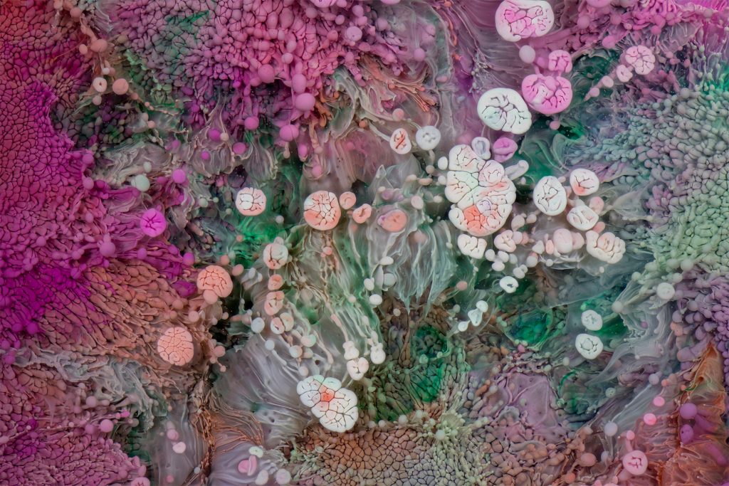 Organic Flow of Nature | Arts and Heritage Foundation St Albert
