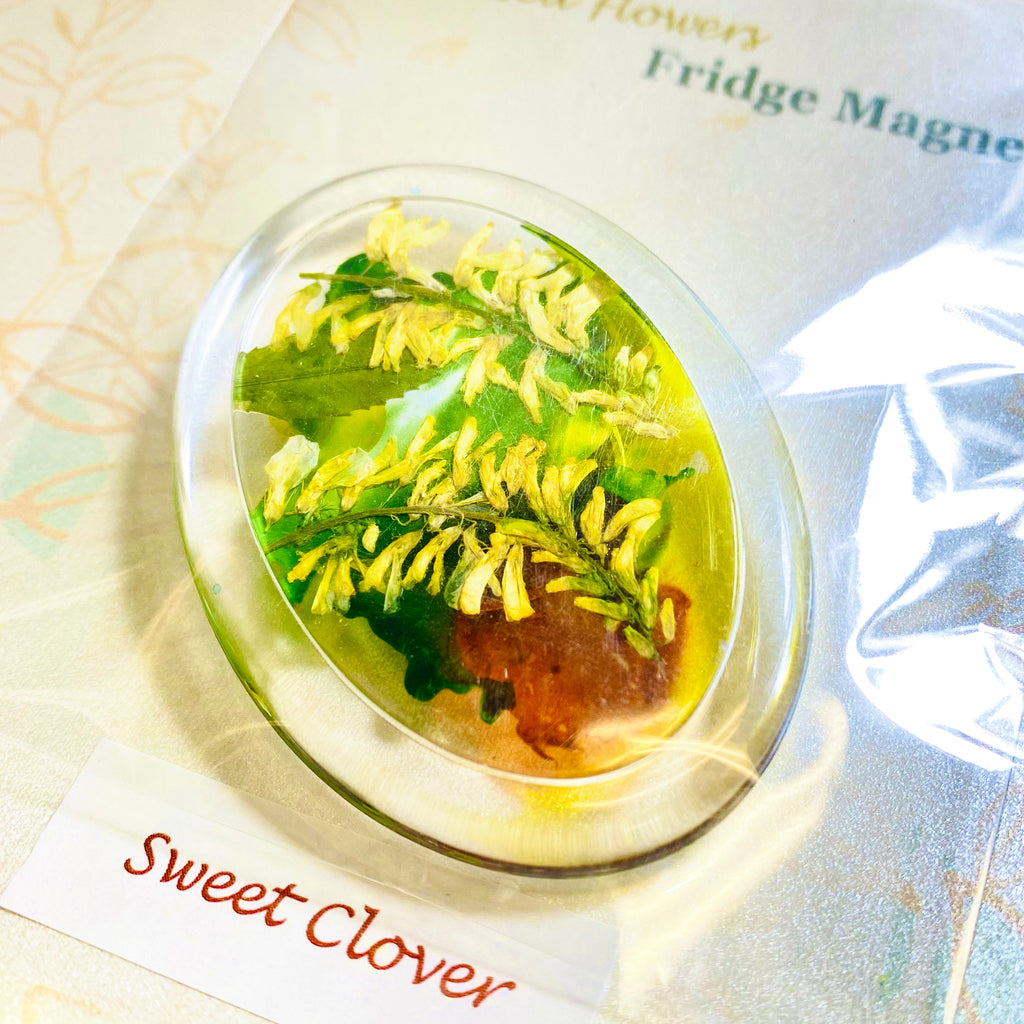 Pressed Flower Art Fridge Magnets | Arts and Heritage Foundation St. Albert