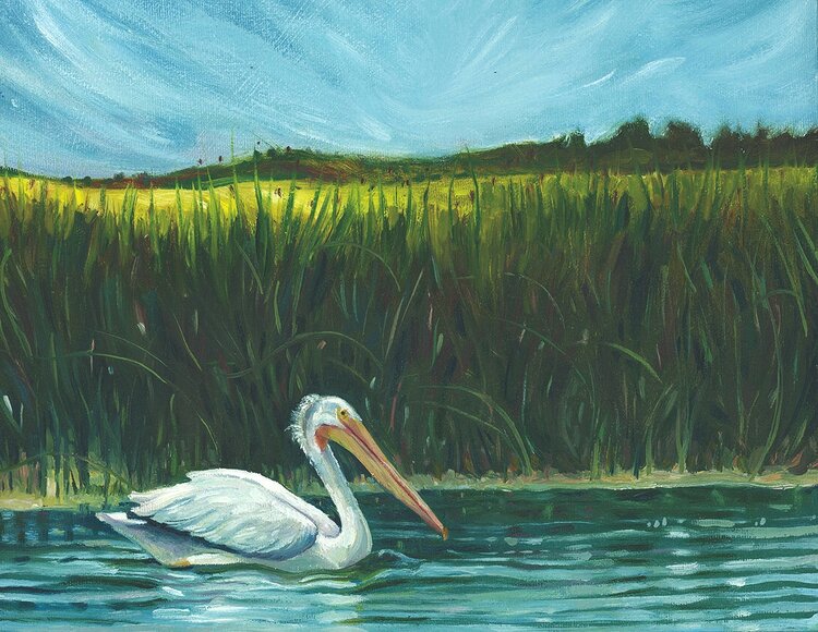 Animal Series Art Cards by Crystal Driedger | Arts and Heritage ...