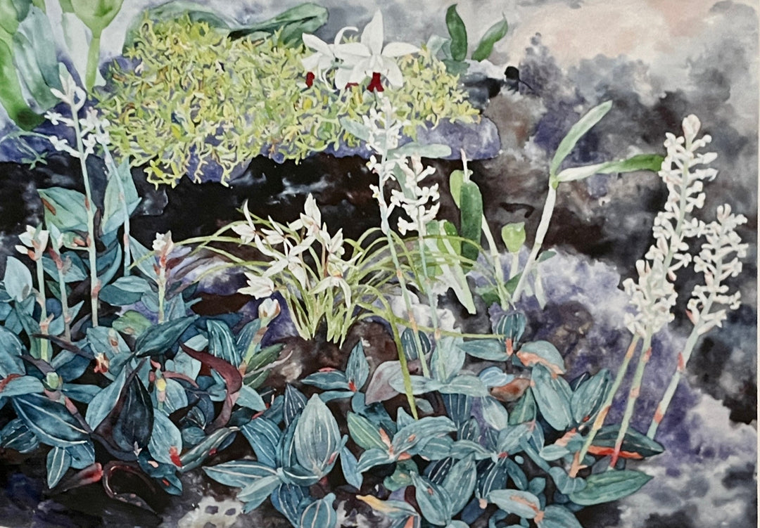 Rayma Peterson Art Cards | Arts and Heritage Foundation St. Albert