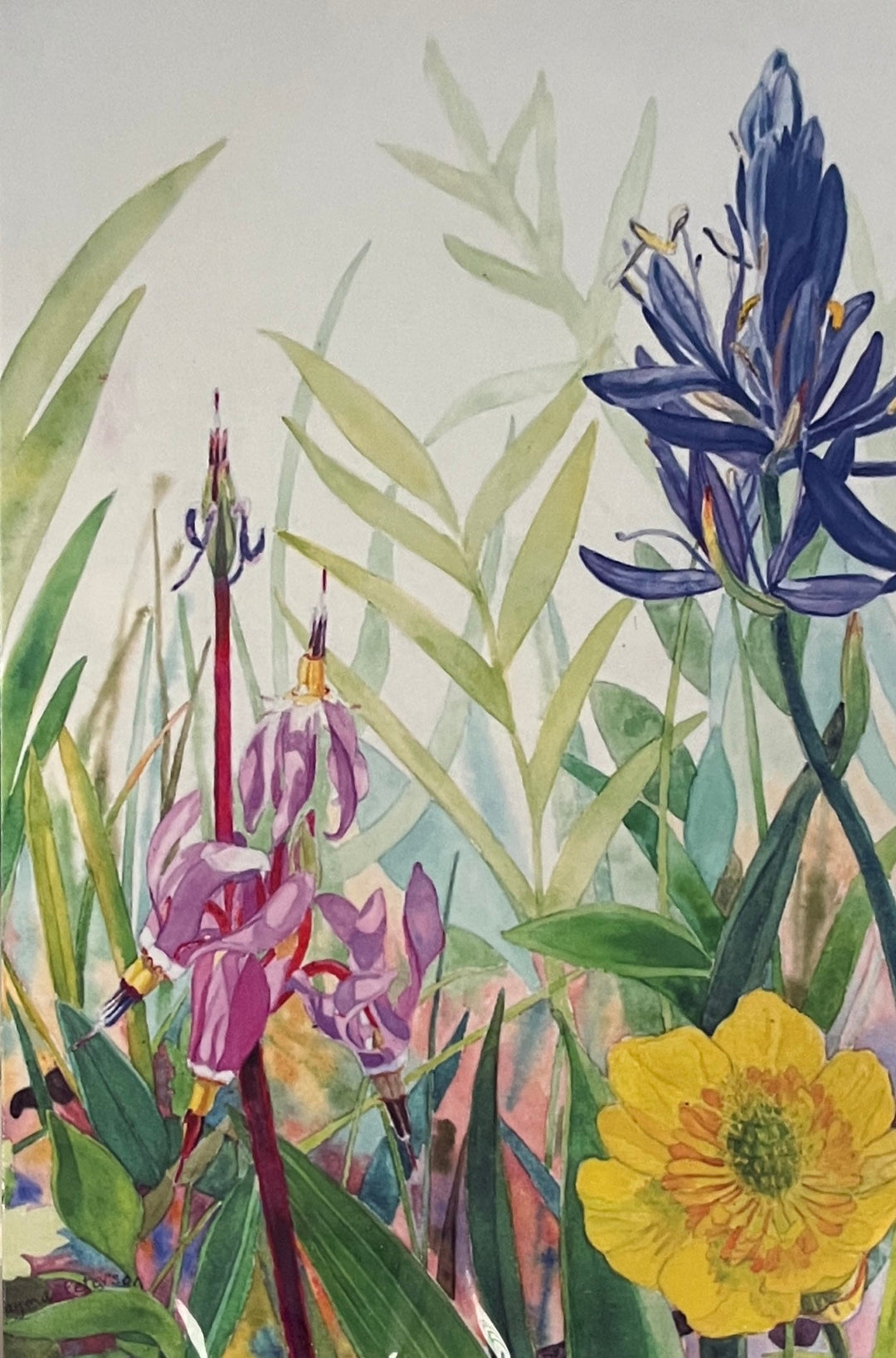 Rayma Peterson Art Cards | Arts and Heritage Foundation St. Albert