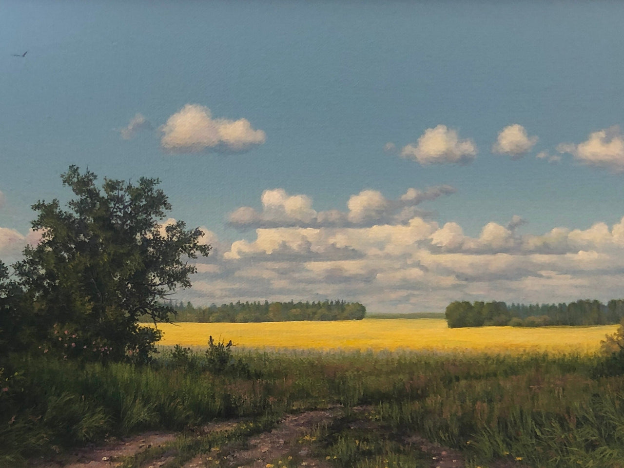 Judy Schafers – Arts and Heritage Foundation St. Albert